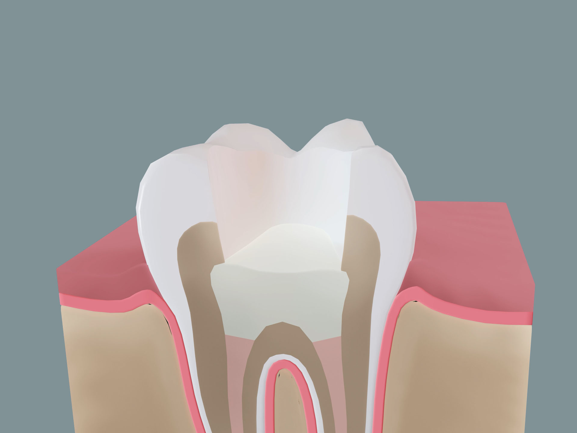 No Need to Fear: Root Canal Therapy Explained - Colorado Family Dentistry